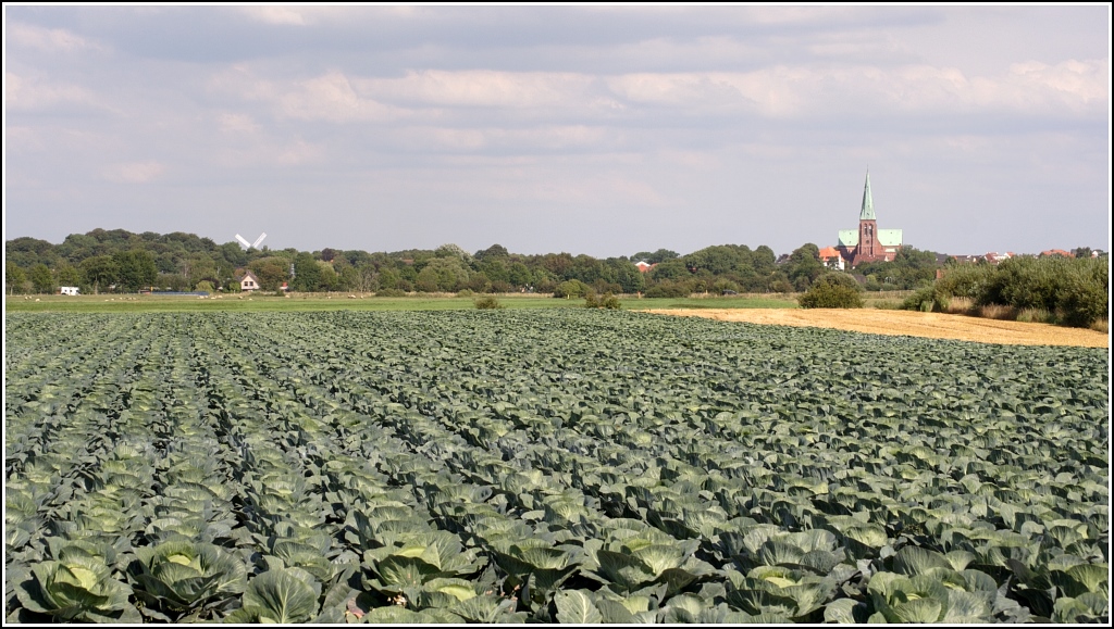Dithmarschen Fotos - Landschaftsfotos.eu