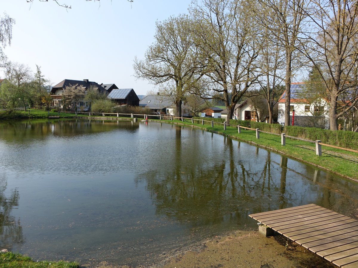 Dorfweiher von Heidelheim im Fichtelgebirge (21.04.2018 ...